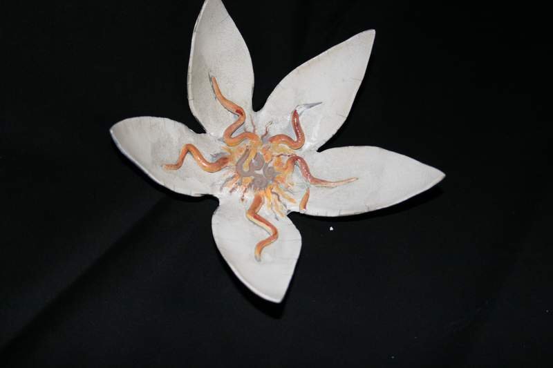 lotus-ohm-02 | Kinetic Website